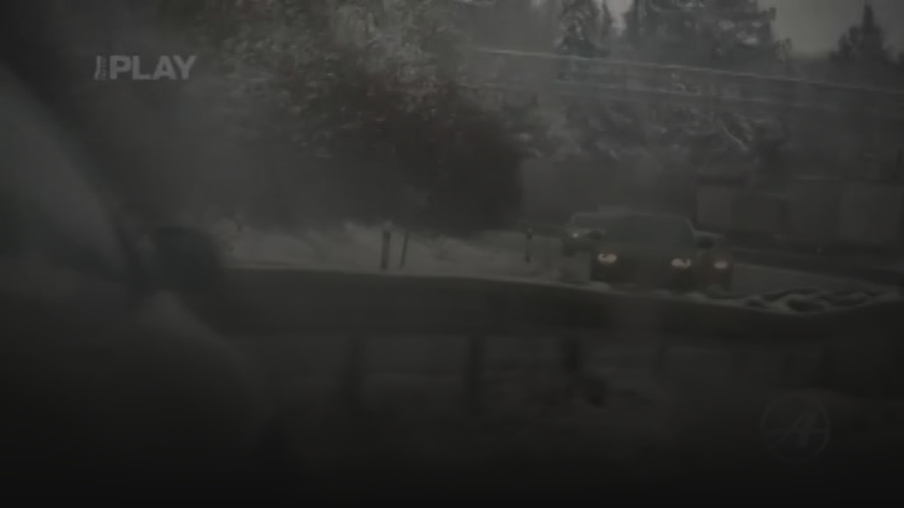 Dálniční známka 1/2 - Autosalon - Prima COOL