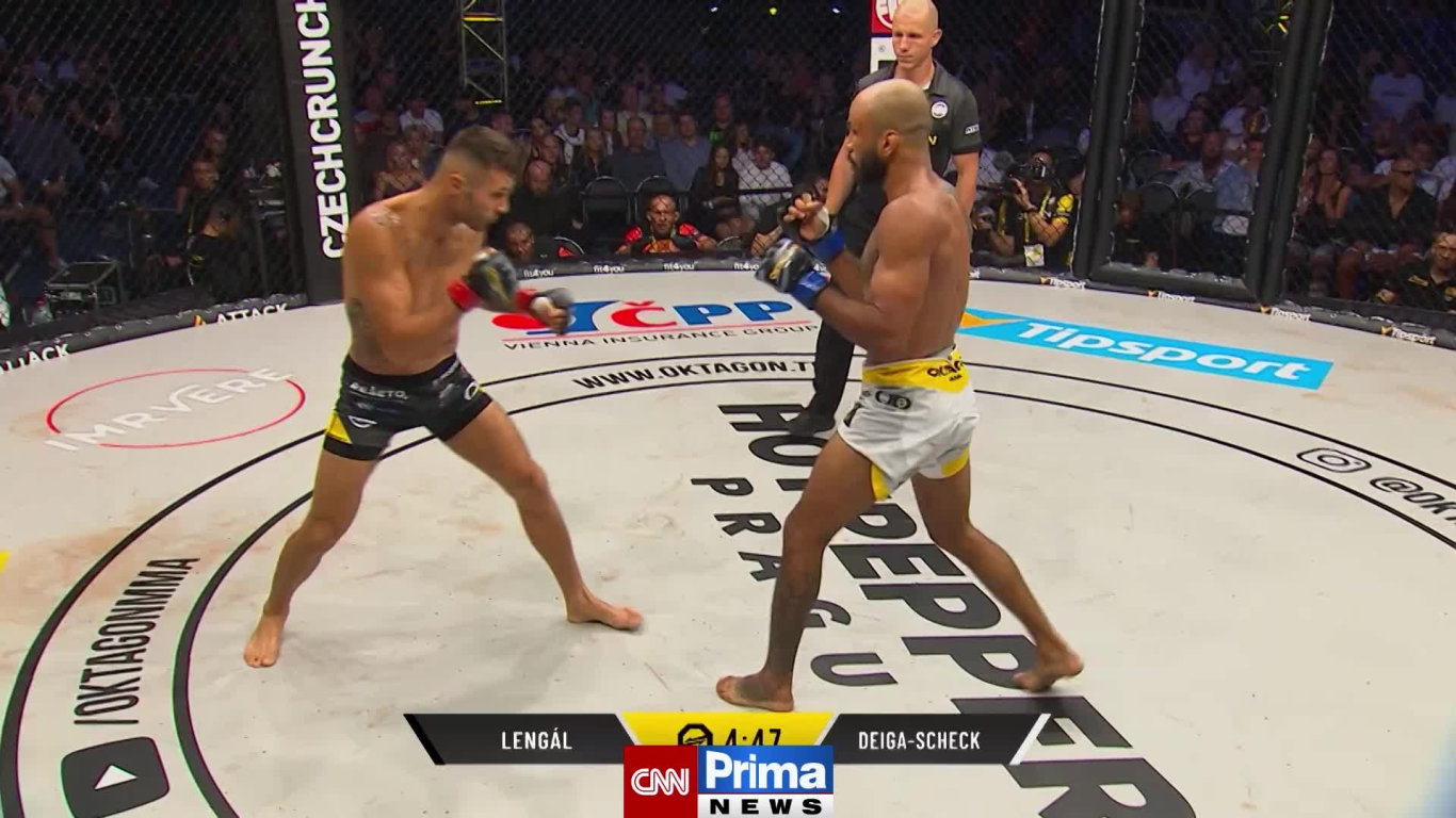 Oktagon 45: Lengál vs. Diego-Scheck - CNN Prima NEWS
