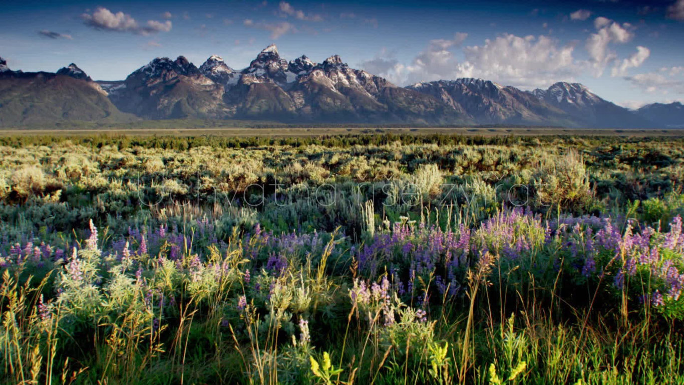 Sedm světů, jedna planeta (6) - upoutávka - Sedm světů, jedna planeta - Prima Zoom