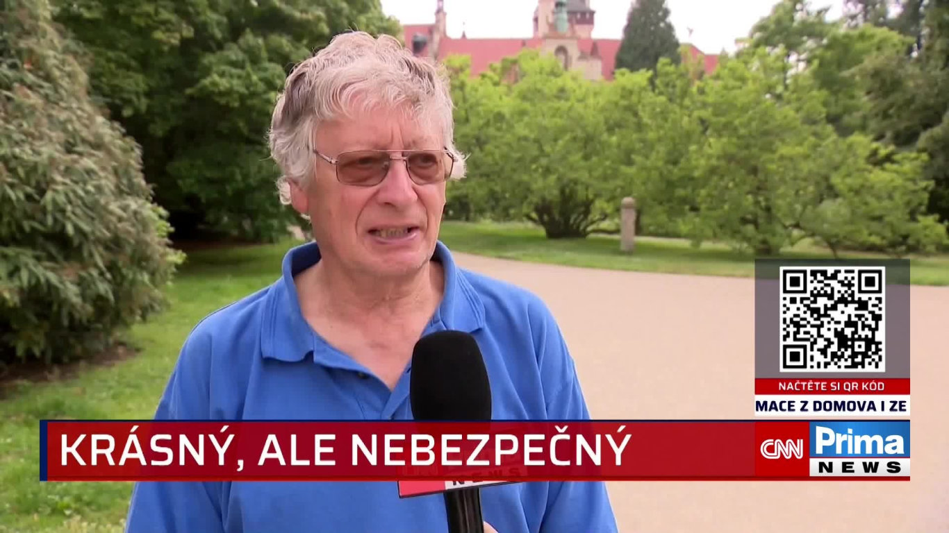 Nebezpečné rostliny na zahradách - CNN Prima NEWS