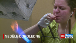 Prima ČESKO online ke zhlédnutí | prima+