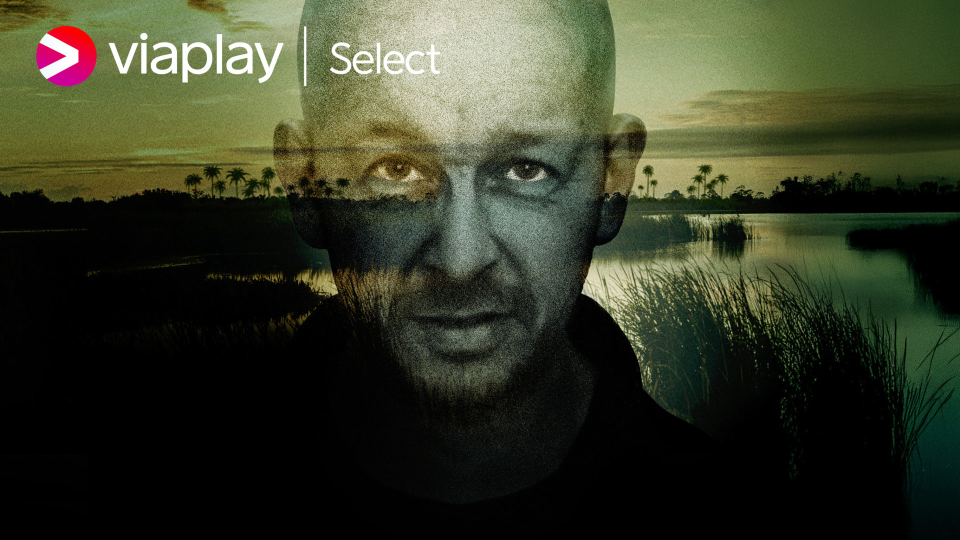 Sériový vrah: Píseň Petera Mangse online ke zhlédnutí | prima+