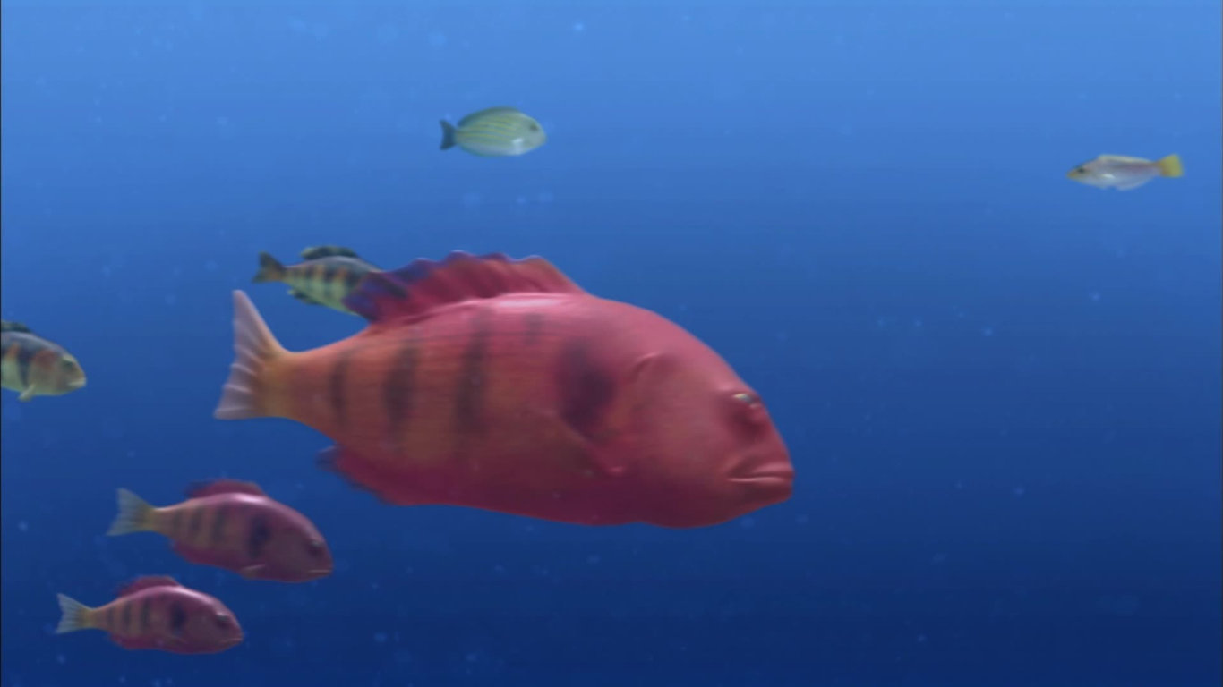 SCUBA DIVING - Bernard - Prima COOL