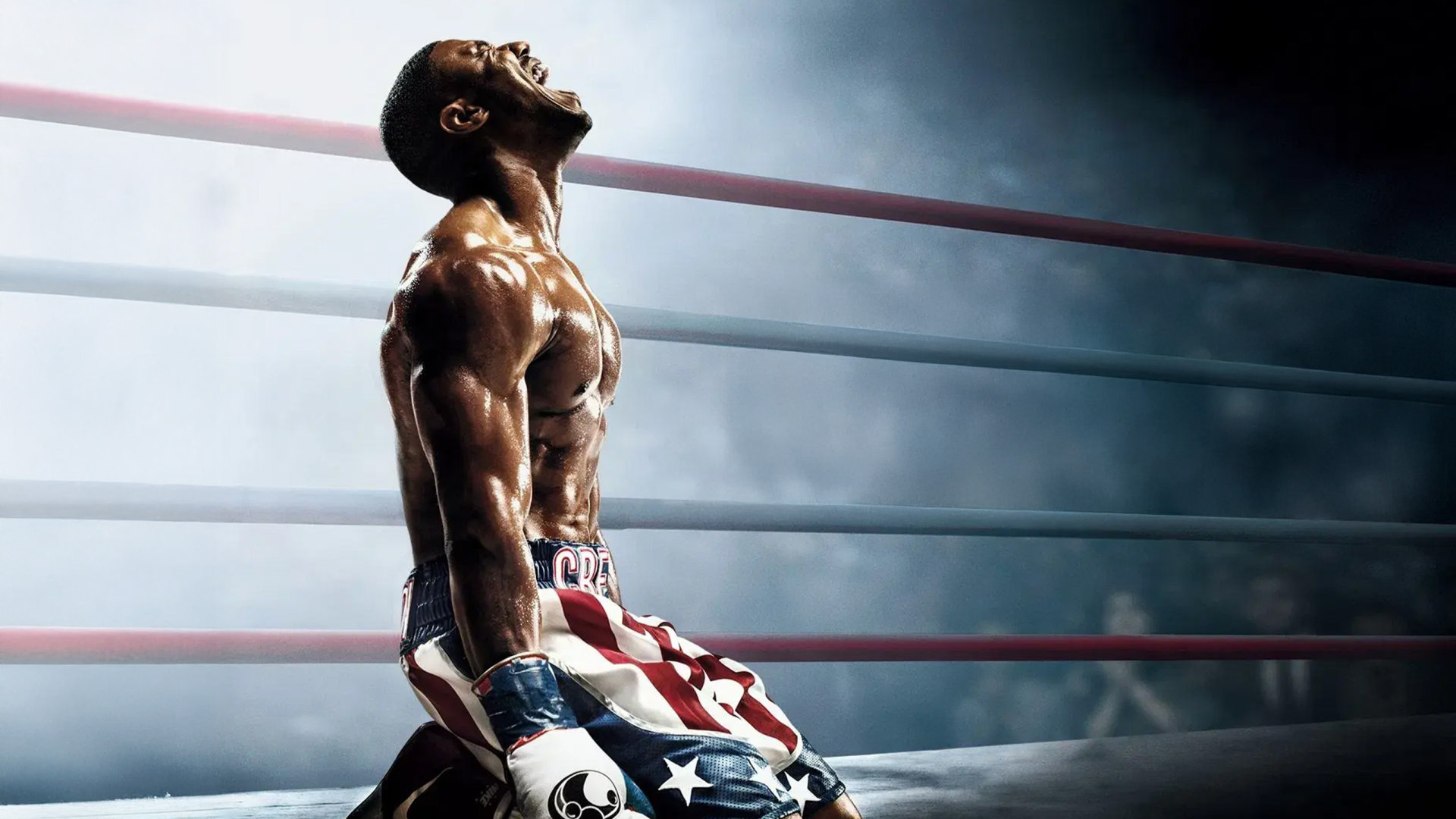 Rocky: Nová výzva (2018) online – celý film ke zhlédnutí | prima+