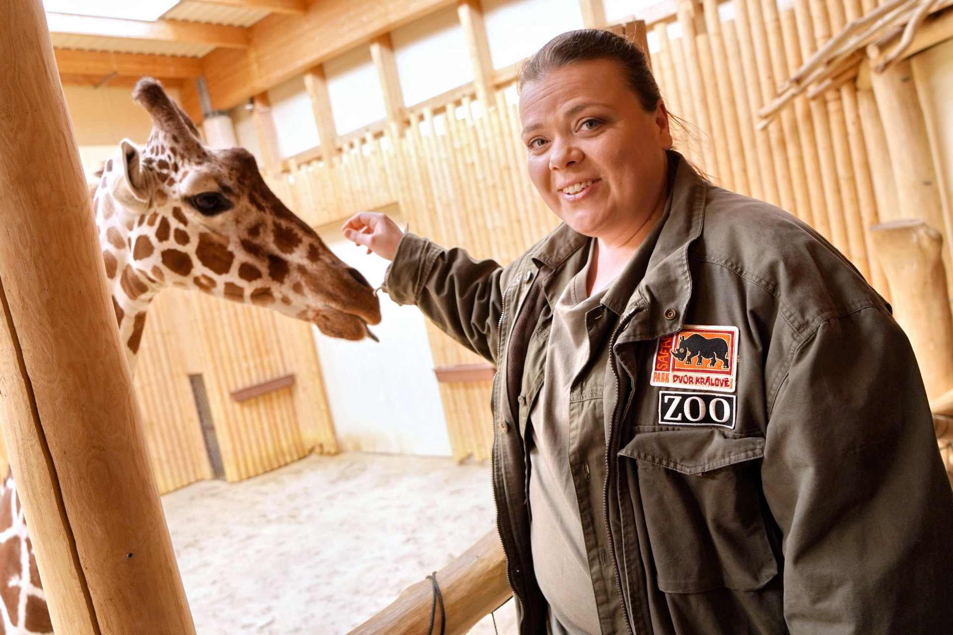 ZOO - epizoda Zpátky do Ameriky online | prima+