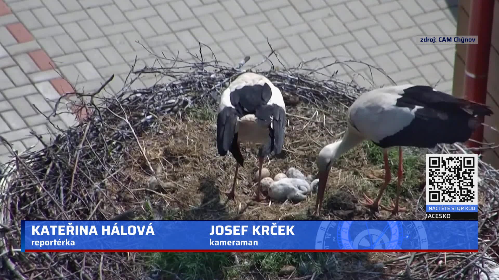 Prima ČESKO - epizoda Prima ČESKO - 25.6. v 08:26 online | prima+