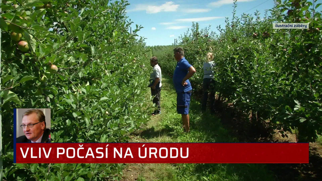 ZPRÁVY, Thomas Kulidakis, Martin Schmarcz, Martin Ludvík, Martin Chlad ...