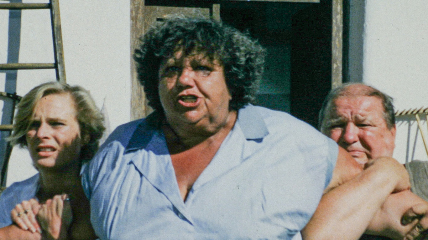 Slunce, seno a pár facek (1989) online – celý film ke zhlednutí | prima+