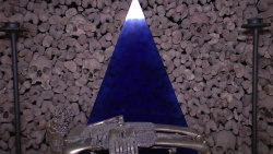 Prima ZOOM živě – online zdarma | prima+