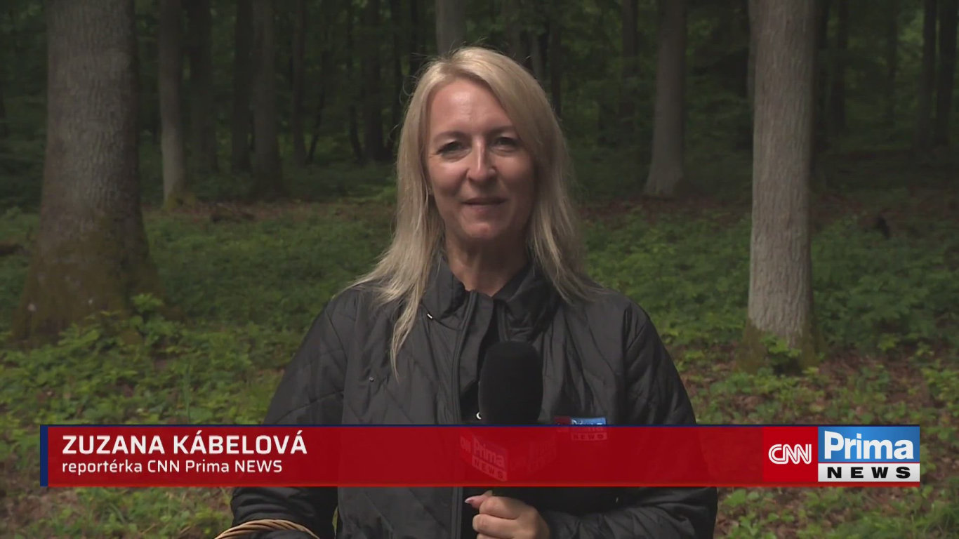 Houbařská sezona začíná - CNN Prima NEWS