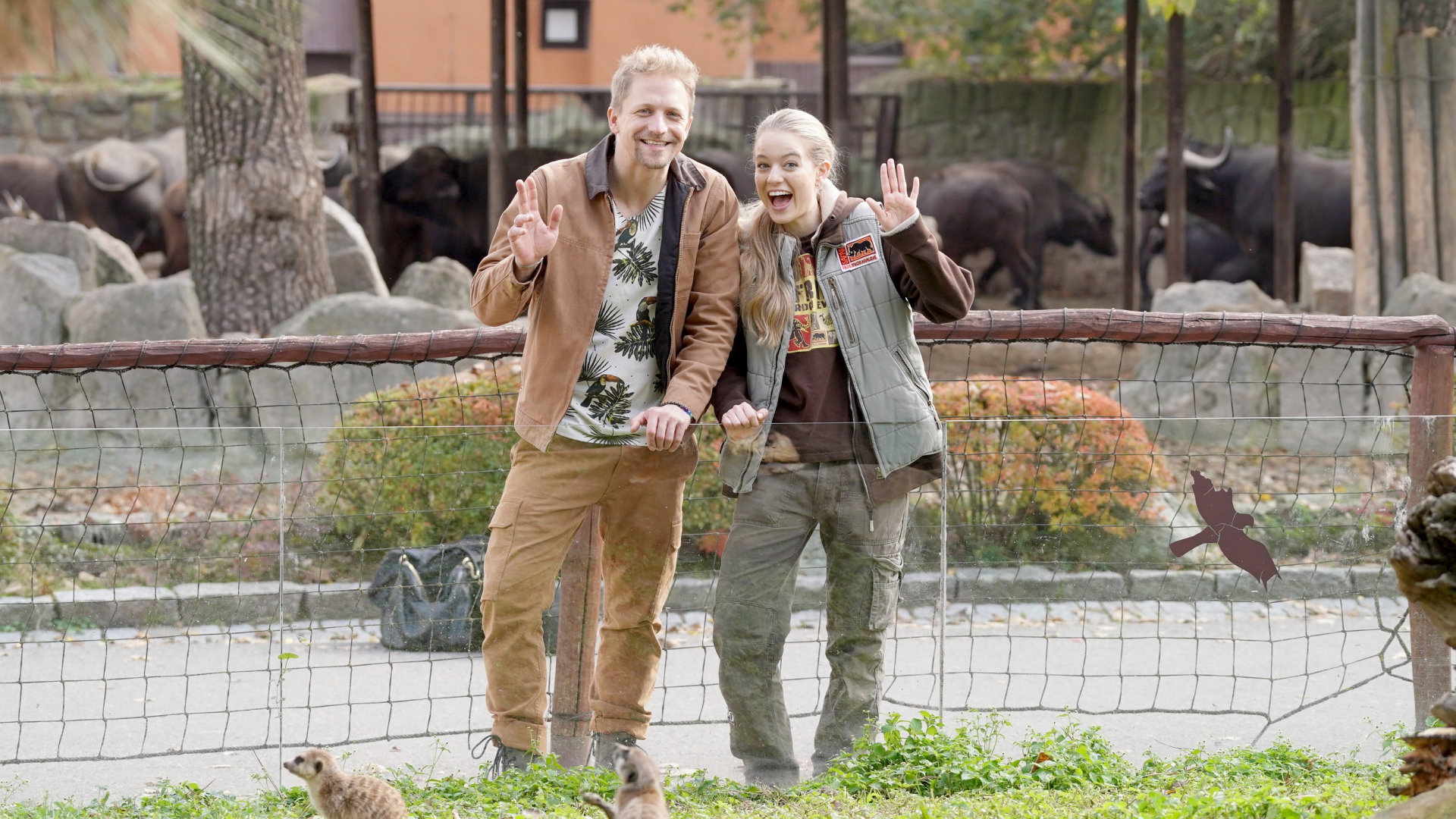 ZOO - epizoda Jak bolí zrada online | prima+