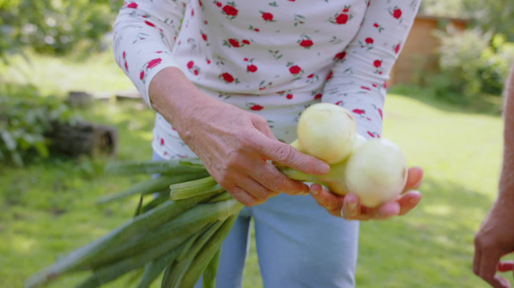 Receptář prima nápadů - epizoda Slavíme 20 let, dort s květy, nejlepší ...