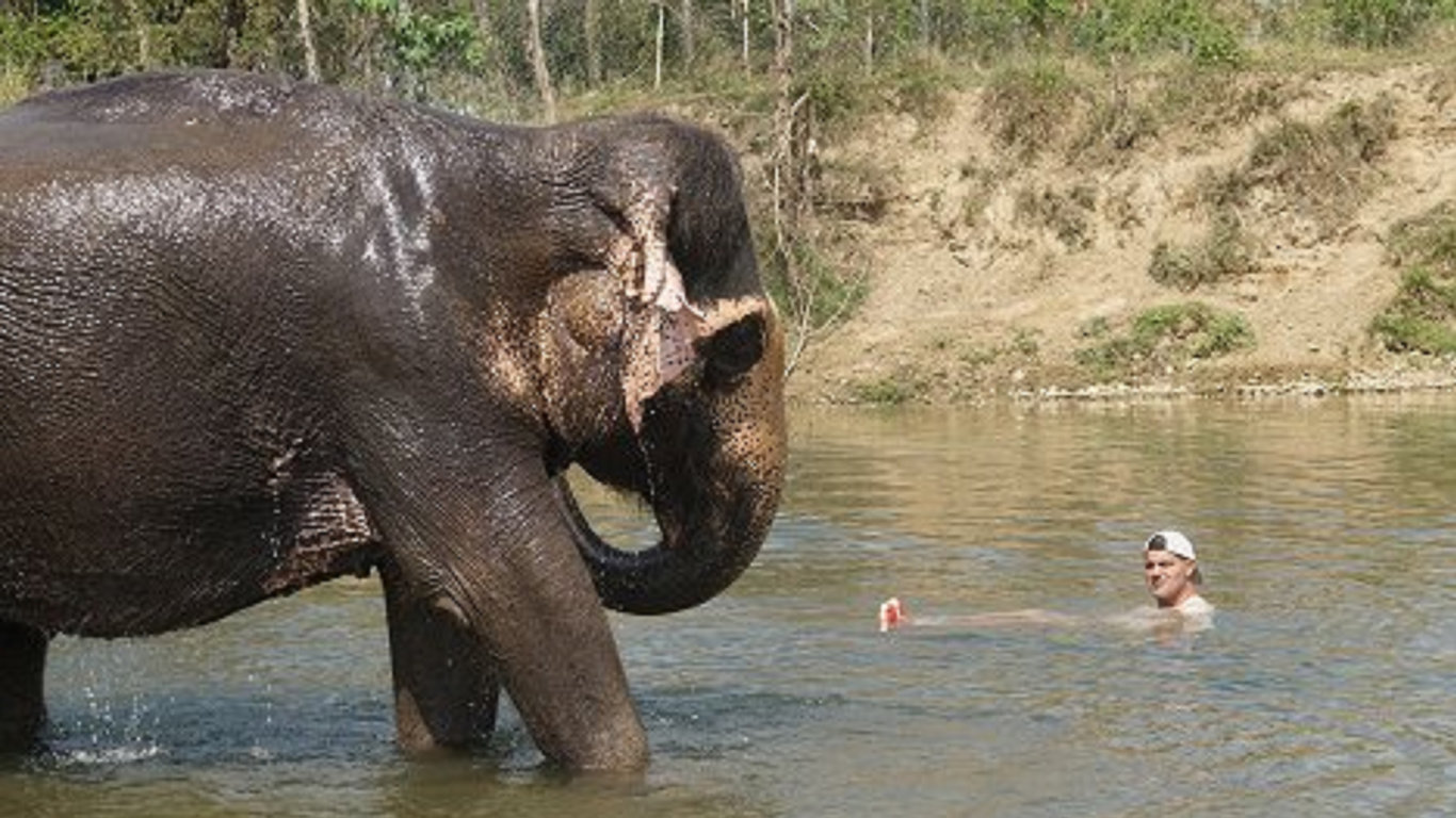 Frank mezi slony (1) - Frank mezi slony - Prima Zoom