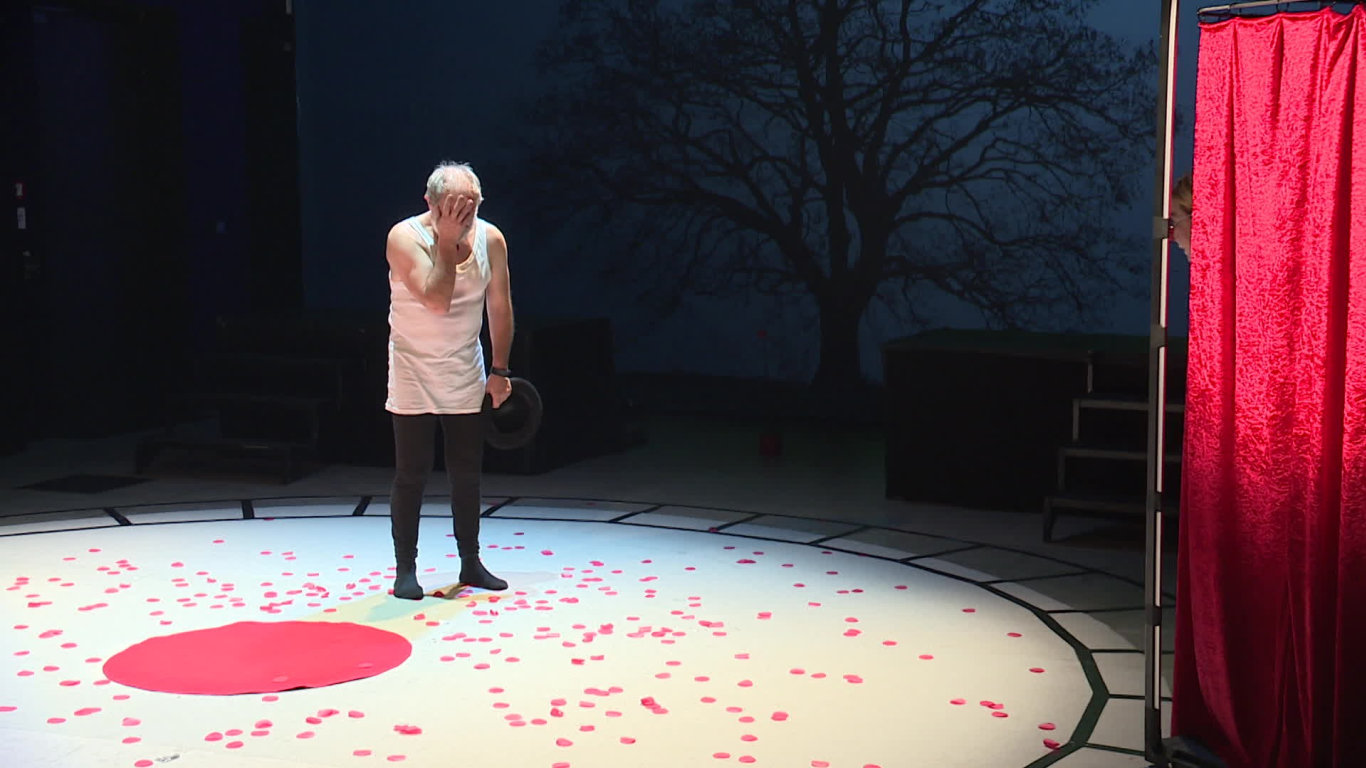 SHOWTIME - 21.1. v 20:00 - SHOWTIME - CNN Prima NEWS