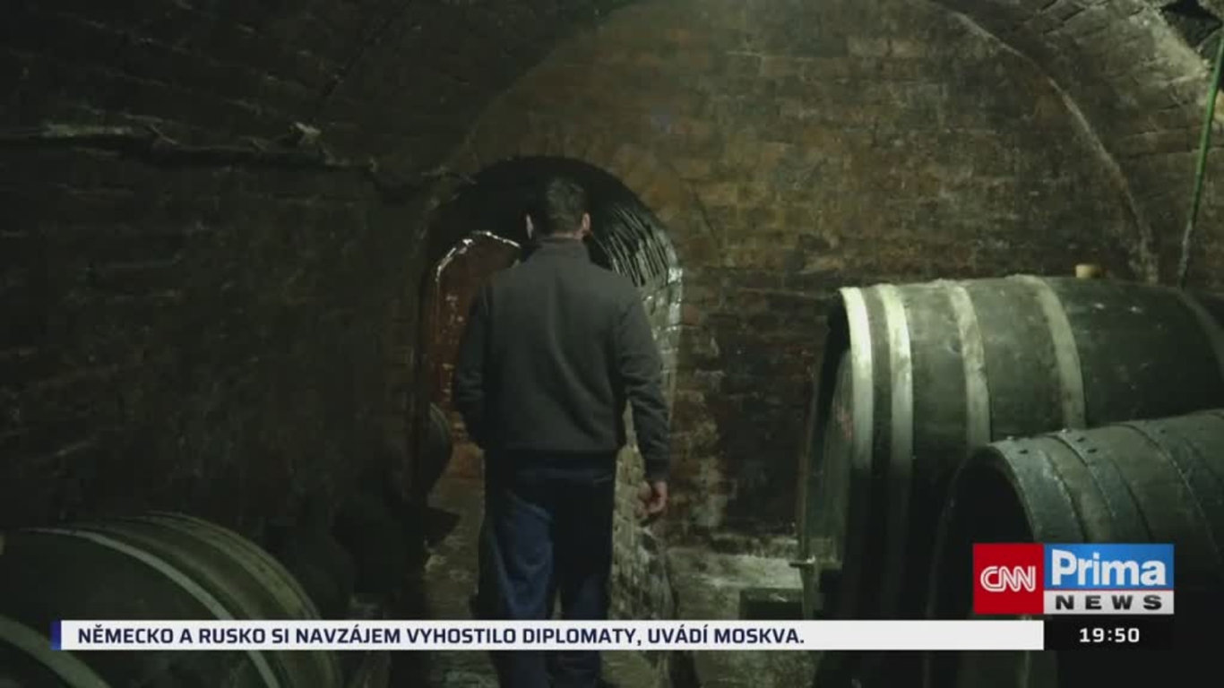 Zloději dál trápí vinaře na jižní Moravě - KRIMI ZPRÁVY - CNN Prima NEWS