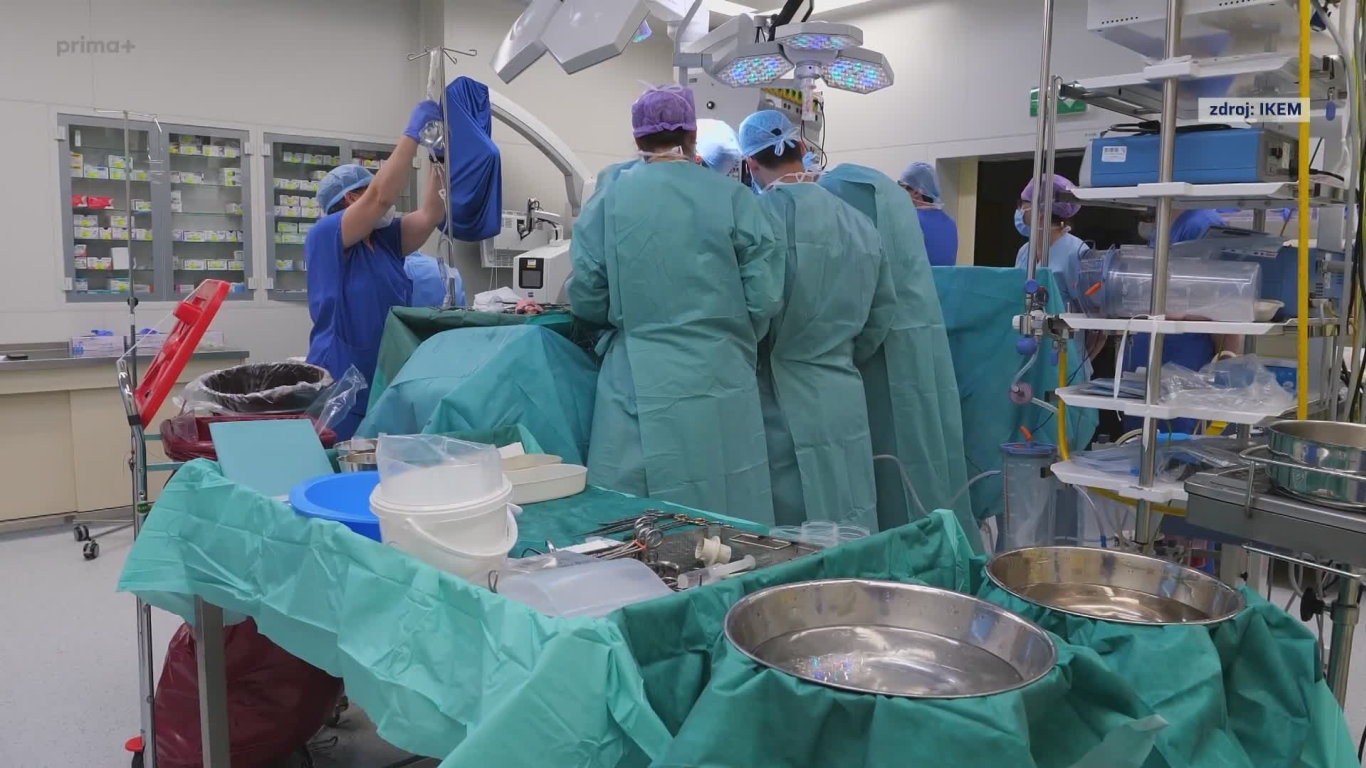 Transplantace slinivky - ZPRÁVY Z REGIONŮ - CNN Prima NEWS